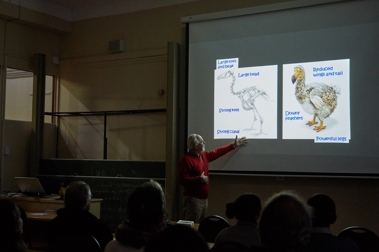 Muizenberg Festival Public Lectures – AIMS South Africa